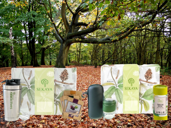 Sekaya gives more than 5,000 endemic tree seedlings to the Cordillera ...