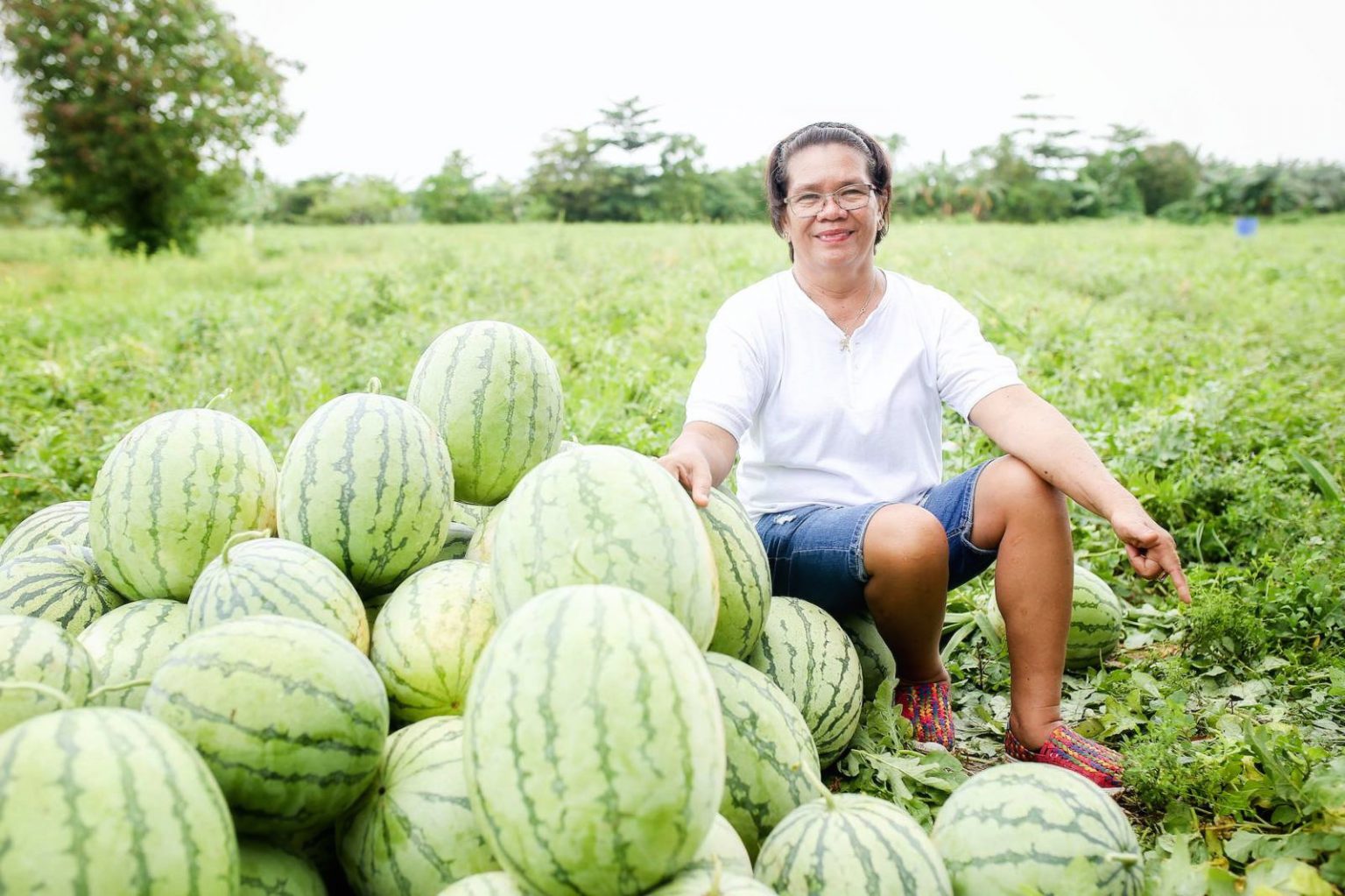 The road less traveled: Dedicated farmers share their secrets to ...