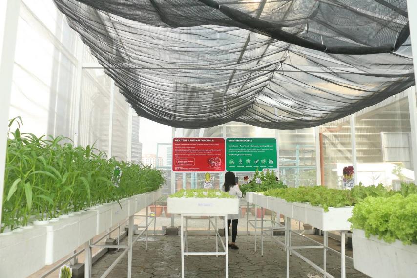 Phl's 'PlantSmart GrowHub' set to bolster food security - THEPHILBIZNEWS