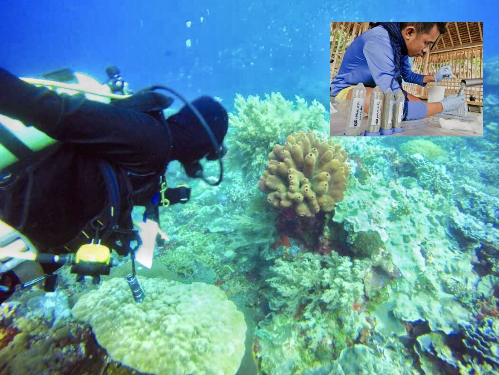 Two Filipino Scientists Drive Antibiotic Discovery from PH Seas ...